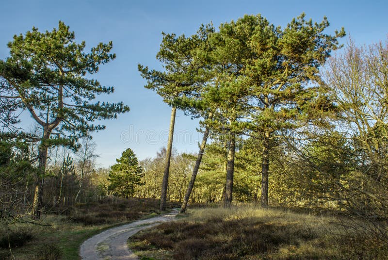 Cold Afternoon in the Netherlands Stock Photo - Image of stone, scenery ...