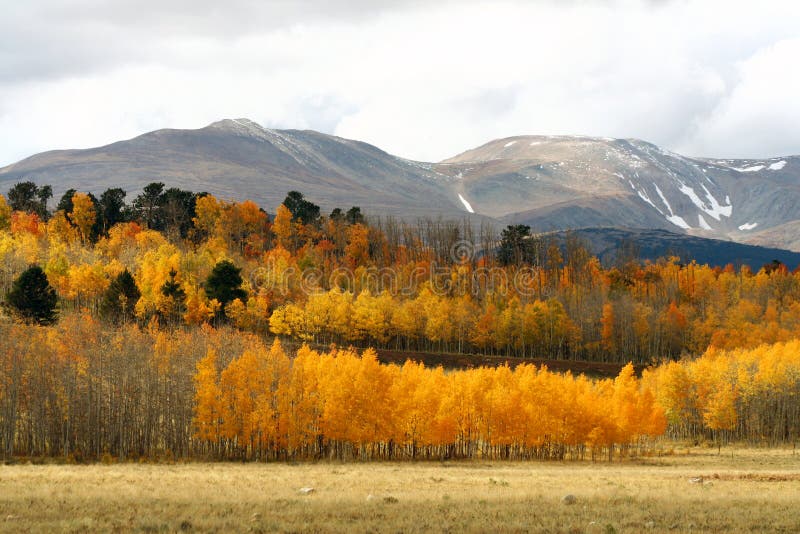 Cold Autumn Day in the Rockies Stock Photo - Image of gold, changing ...