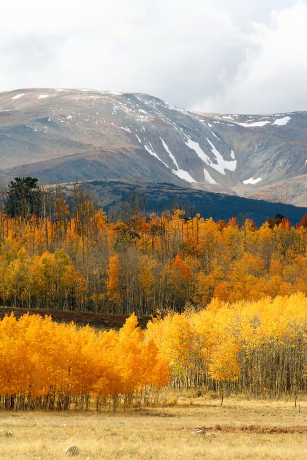 Cold Autumn Day in the Rockies Stock Image - Image of golden, outside ...