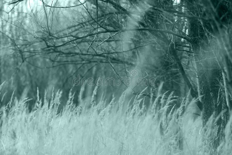 144,408 Cold Autumn Landscape Stock Photos - Free & Royalty-Free Stock ...