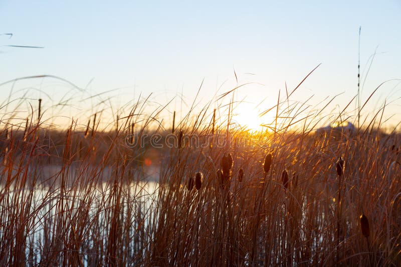 Cold Autumn Morning and Sunrise Over the Lake Stock Photo - Image of ...