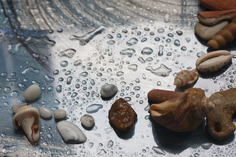 Autumn, Drops of Water, Seashells and the Sea Near by. Stock Image ...