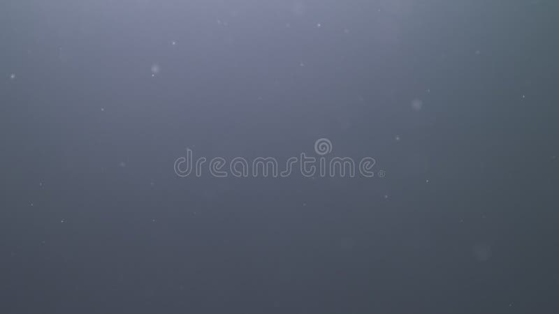 Cold Backlit Dust Particles with Light at the Top Floating in Slow ...