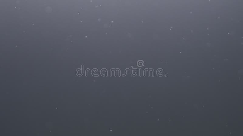 Cold Backlit Dust Particles with Light at the Top Floating in Slow ...