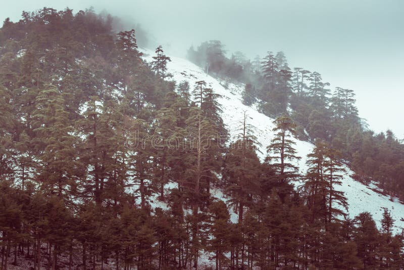 A Cold Beautiful Snowy Day in Ice in Winter Stock Image - Image of ...