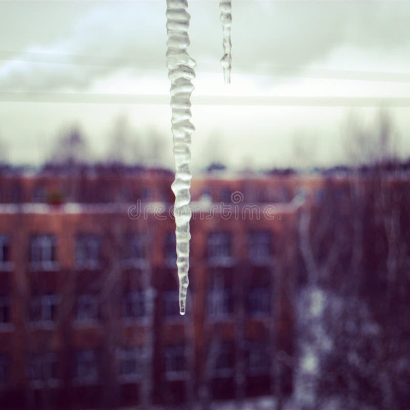 Cold Beauty Winter Great Time of the Year Stock Photo - Image of time ...