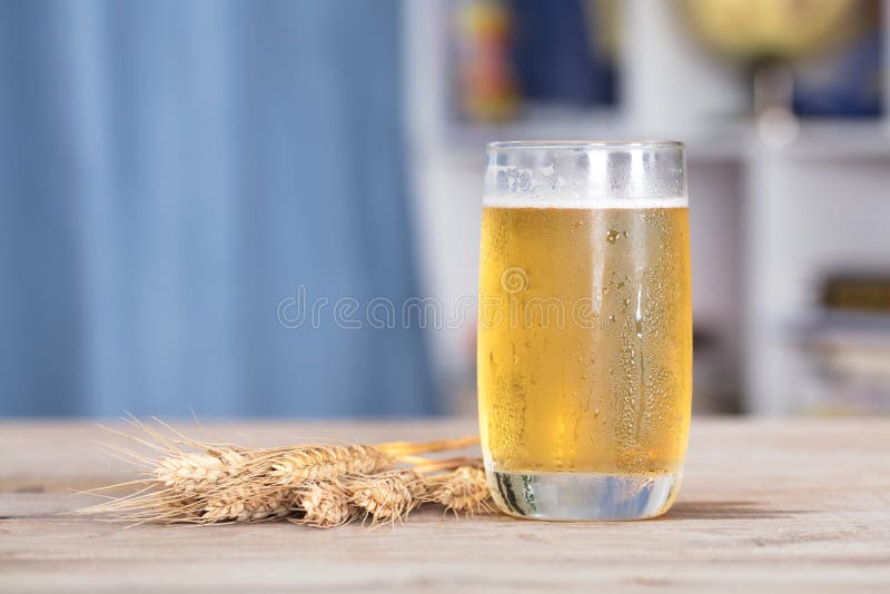 Cold beer and wheat ears stock image. Image of ears - 253718075