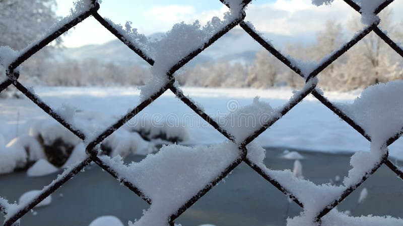 Cold behind bars stock photo. Image of cold, bars, snowy - 69479532