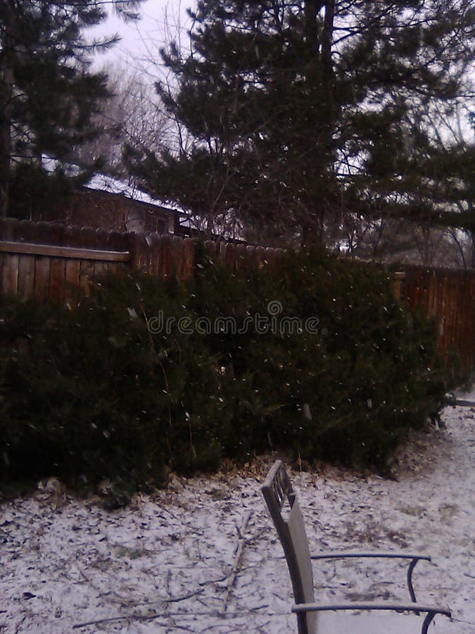 Cold bitter winter stock image. Image of bitter, chilling - 175622015