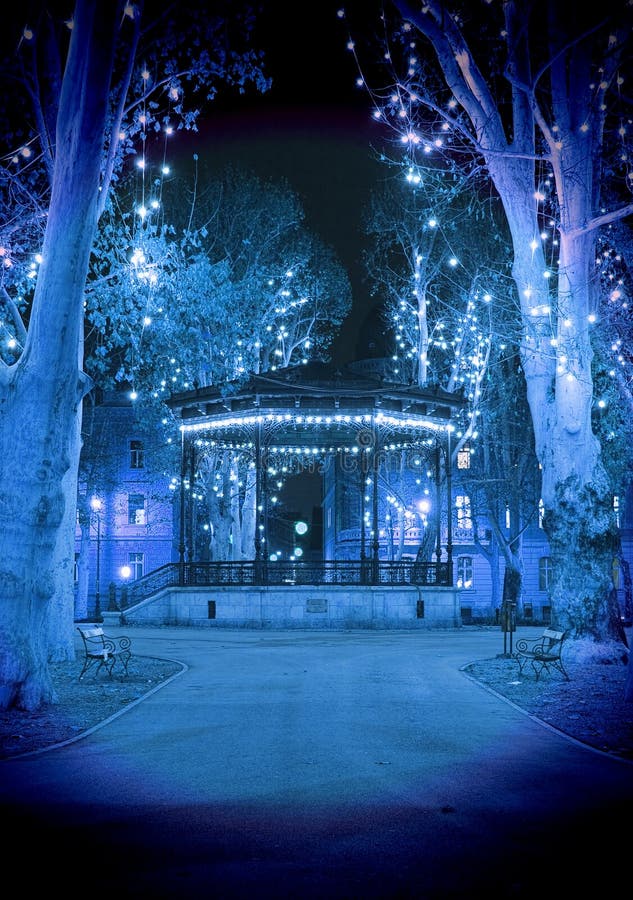 Cold blue Christmas night stock photo. Image of walk - 12131140