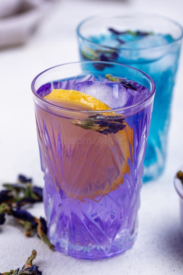 Cold Blue and Purple Tea Butterfly Pea Stock Image - Image of clitoria ...