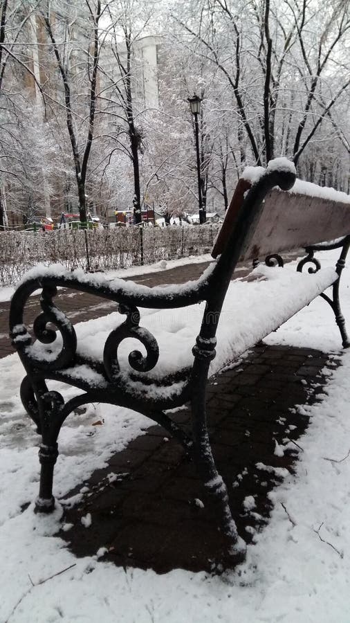 Cold Christmas December Snow Tree Frost Winter Nature White Bench Stock ...