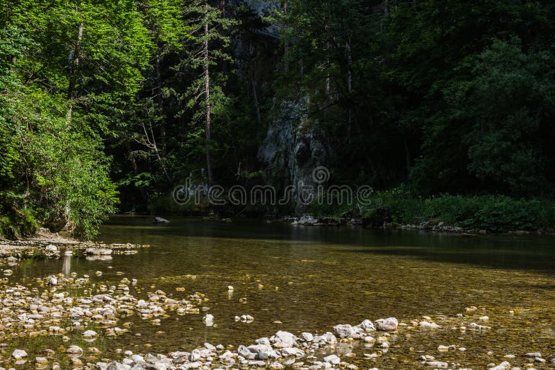 Cold Clean Shallow Water from a Brook Stock Image - Image of sparkling ...