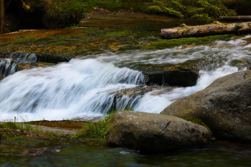 Cold Clear Water Flows through the Rocks in the Forest, Spring. Stock ...