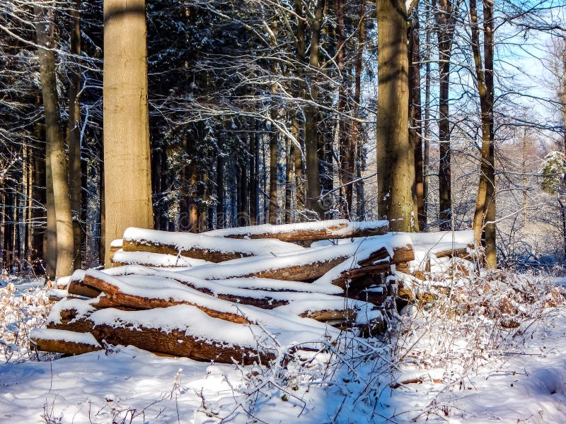 Cold Clear Weather in Winter in Northern Germany Stock Photo - Image of ...