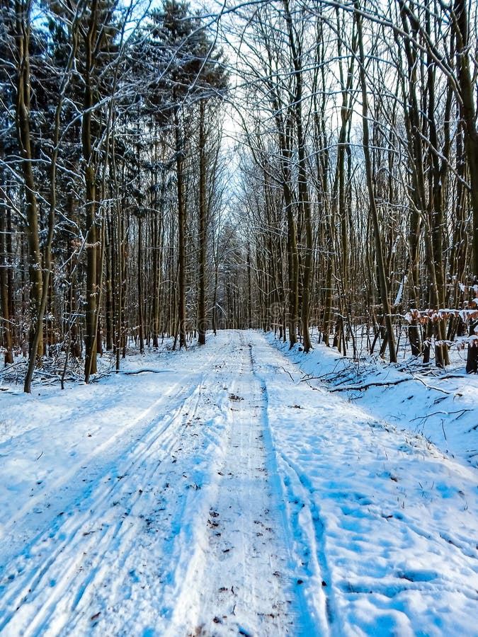 Cold Clear Weather in Winter in Northern Germany Stock Photo - Image of ...