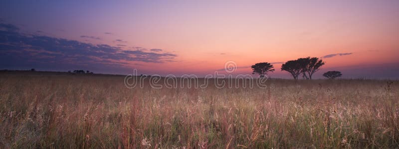 Cold Cloudless Morning Sunrise with Trees, Brown Grass and Fog Stock ...