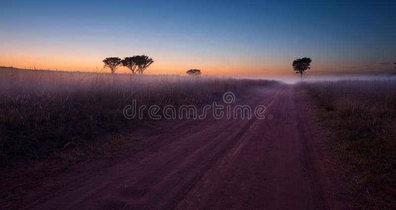 Cold Cloudless Morning Sunrise with Trees, Stock Image - Image of ...