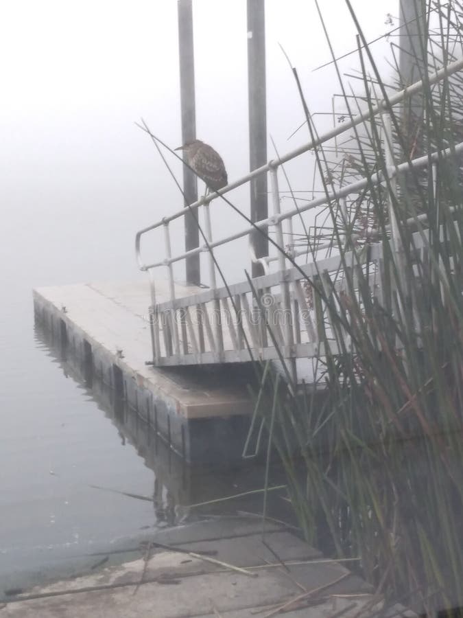 Cold cod day by the sea stock photo. Image of rock, asphalt - 231863418