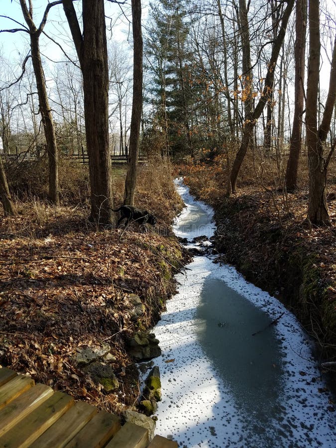 Cold creek stock photo. Image of february, backyard - 139035260