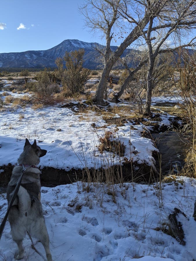 Cold Creek, Nevada & X28;scenery& X29; Stock Photo - Image of scenery ...