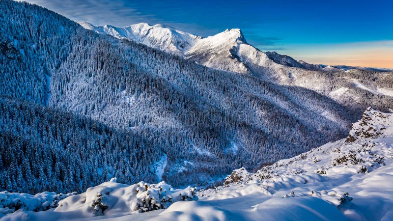 Brook in Fresh Alps Meadow, Snowy Peaks of Alps in Background. Cold ...