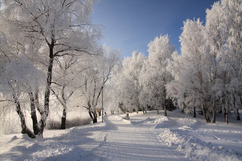 Cold day stock image. Image of snow, water, cold, season - 10432981