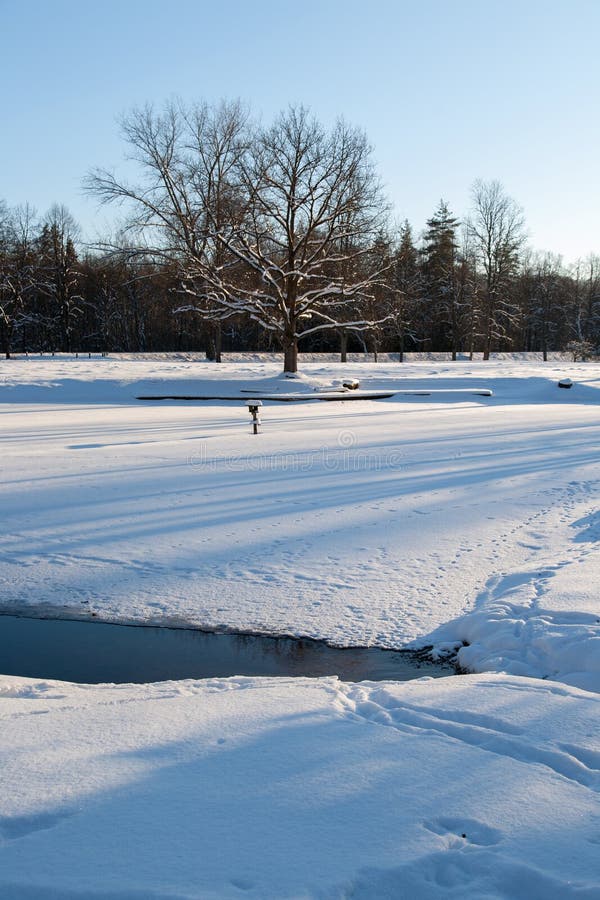 Cold day stock photo. Image of scene, nonurban, wintry - 29219448