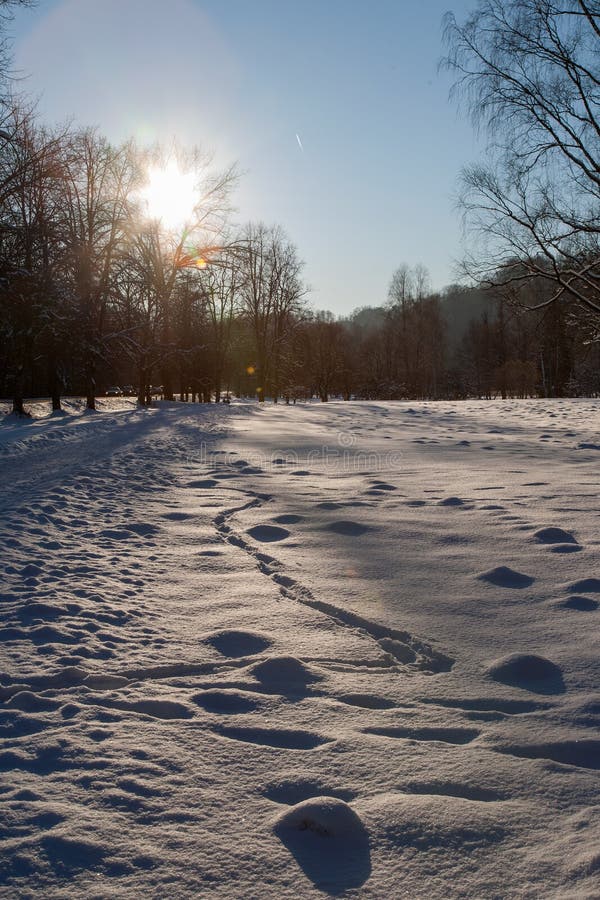 Cold day stock image. Image of beauty, cold, outdoors - 29219477