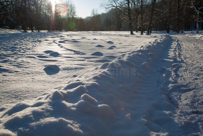 Cold day stock image. Image of january, wintry, area - 29219489