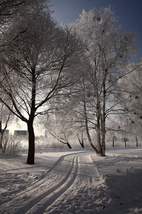Cold day stock image. Image of tree, cloud, mist, cool - 9001447