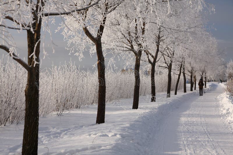 Cold day stock image. Image of snowscape, frozen, chill - 9877569