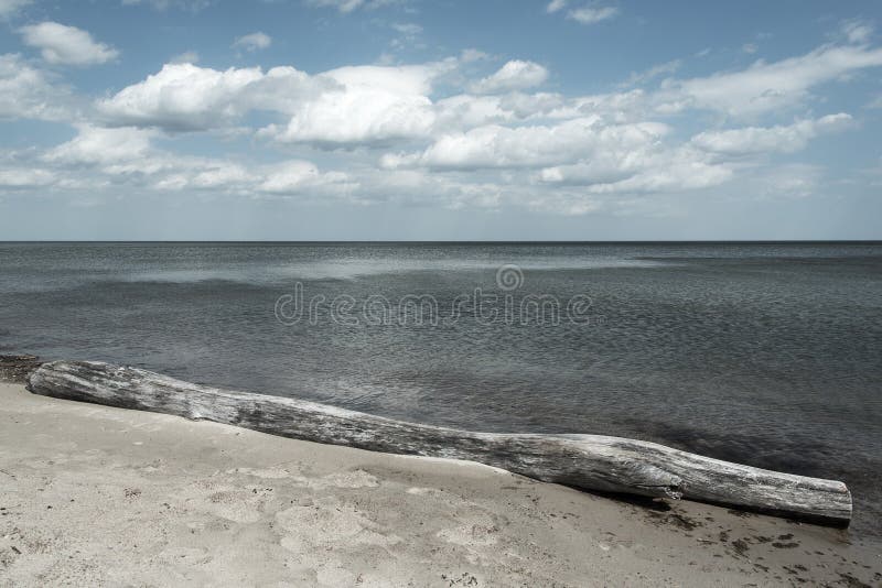 Cold day at Baltic sea. stock image. Image of nature - 54975251
