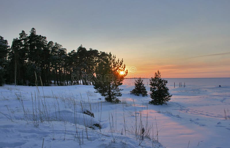 Cold december evening stock image. Image of north, nature - 2945093