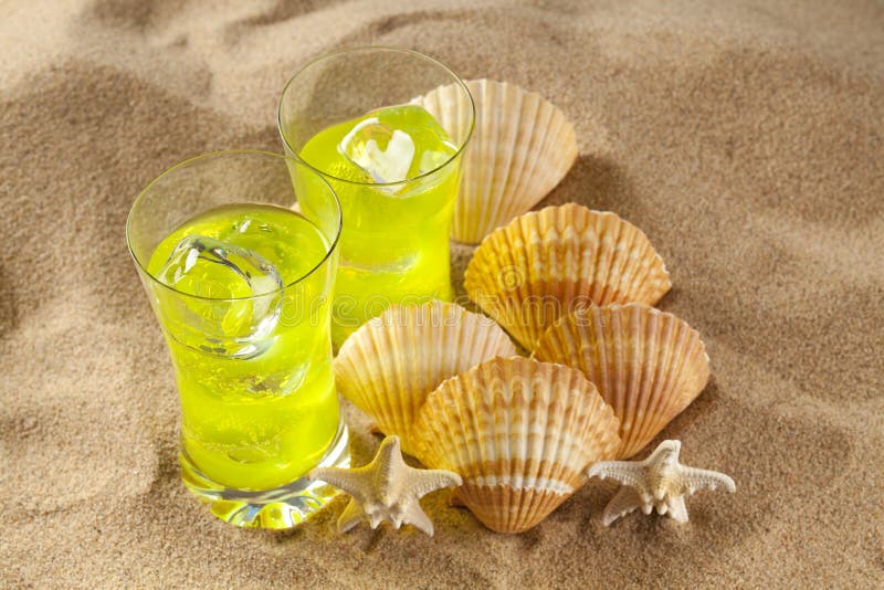 Cold Drinks and Shells on the Beach Stock Photo - Image of holiday ...