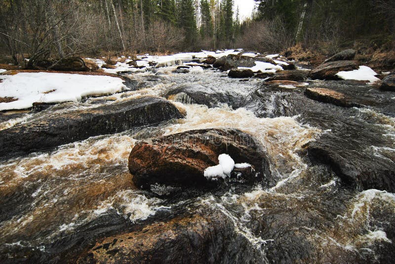 Cold fast river stock photo. Image of cold, flowing, taiga - 68097802