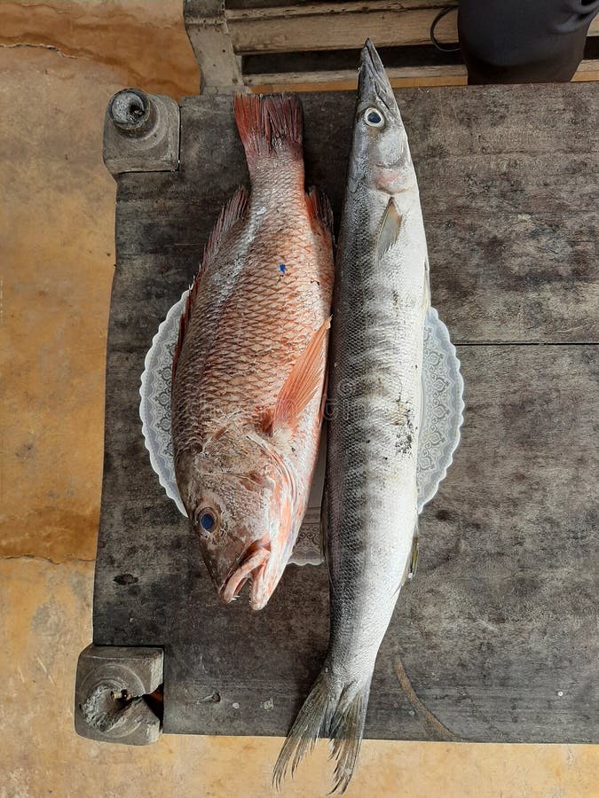 Cold Fish Dishes - Fish with Potato Stock Image - Image of pickled ...
