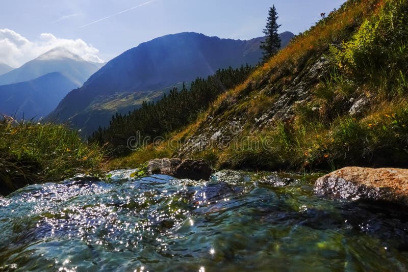 Cold Flowing Water while Hiking in the Mountains of Austria Stock Photo ...