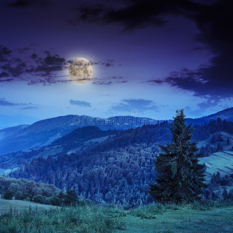 Midnight Fog and Moon stock photo. Image of swirling - 21750572