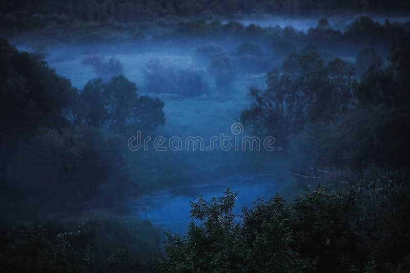 Cold Fog on Forest at Night in Moon Light Stock Image - Image of ...