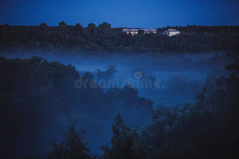Cold Fog on Forest at Night in Moon Light Stock Photo - Image of star ...