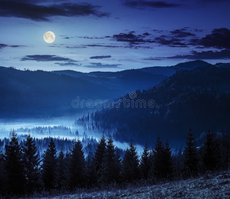 Cold Fog at Night in Mountains Stock Photo - Image of hill, mystery ...