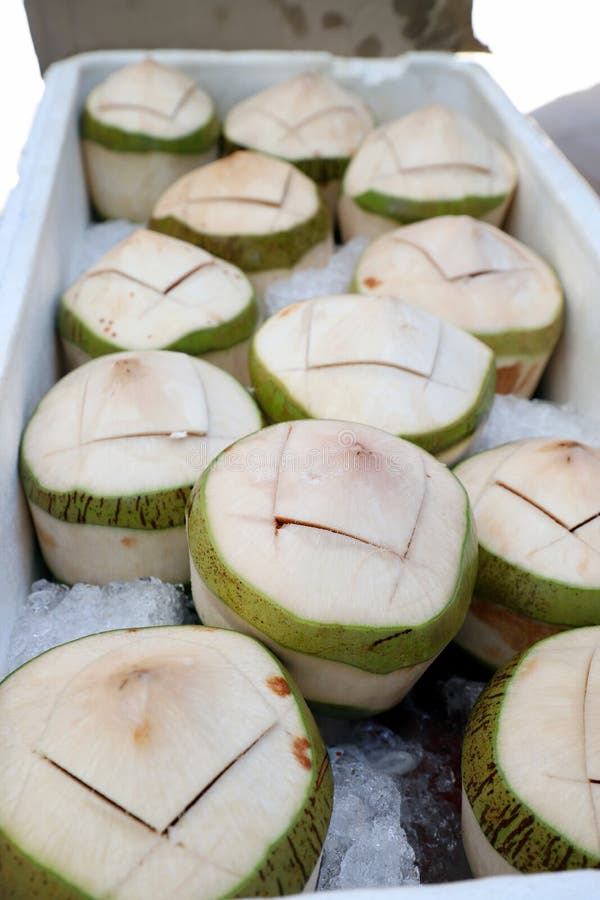 Cold Fresh Coconut Soak Ice in a Foam Crate Cut Openings Ready To Serve ...