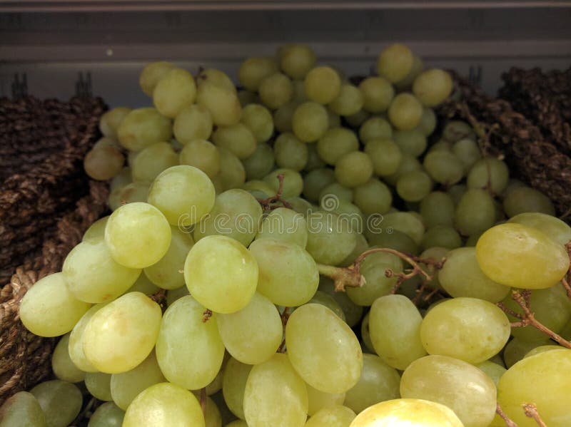 Cold fresh green grapes stock image. Image of fresh, cold - 75334553