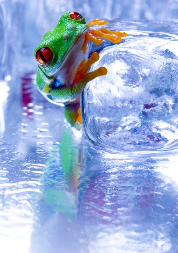 Cold frog stock image. Image of cubic, abstraction, bulging - 1890301
