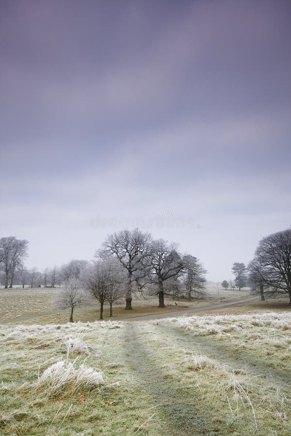 Cold frosty day landscape stock image. Image of frozen - 7688241