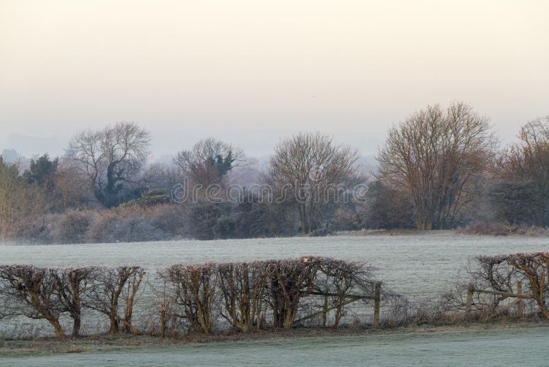 Cold and frosty morning stock photo. Image of dawn, autumn - 32774040