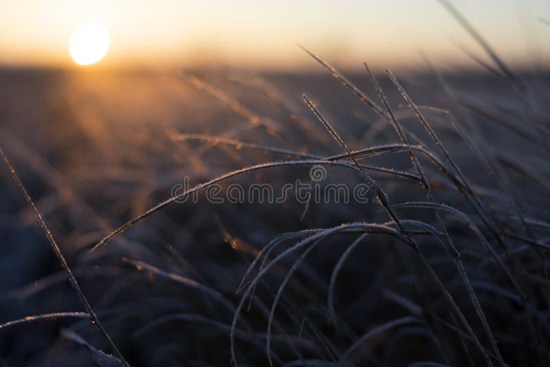 Cold Frosty Morning stock image. Image of natural, frosty - 64883433