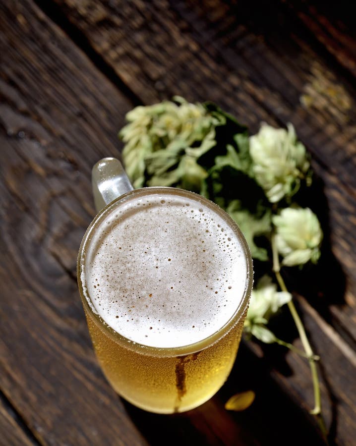 Cold Frothy Beer in Glass and Hops on a Wooden Background Stock Photo ...
