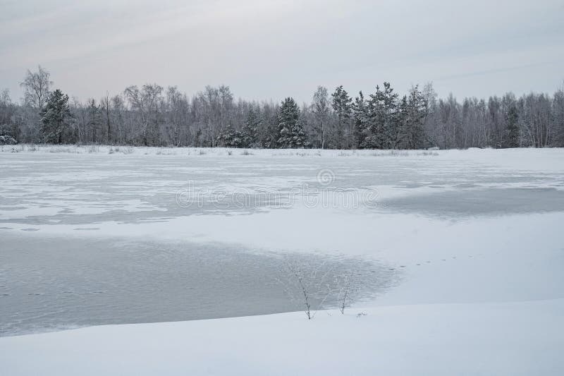 Cold Frozen Winter Salt Lake on Bright Winter Day with Footprints Stock ...